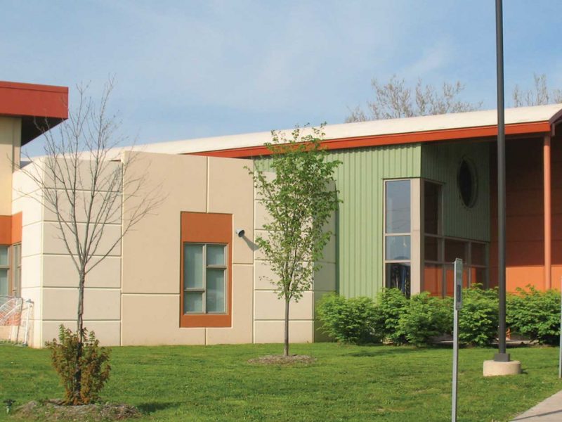 IMG_5123_cx-opt - Avondale Meadows Academy